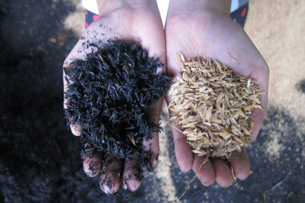 The use of carbonized rice husk
