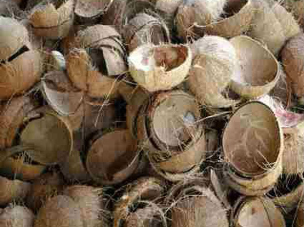 Biochar Production Equipment for Sale | Biochar Making Machine